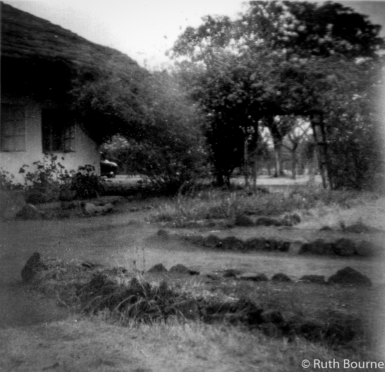 Easter 1953 – A Visit to Toro | Random Thoughts